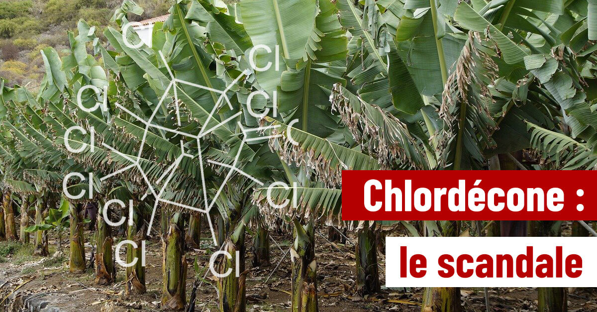 [Pétition] Scandale du chlordécone — Protégeons les Antillais